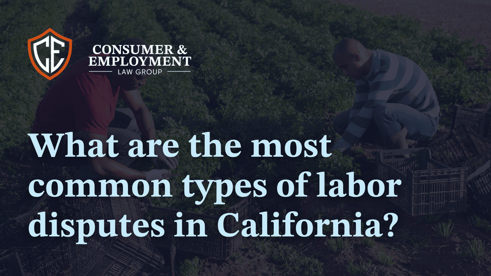 What are the most common types of labor disputes in California?